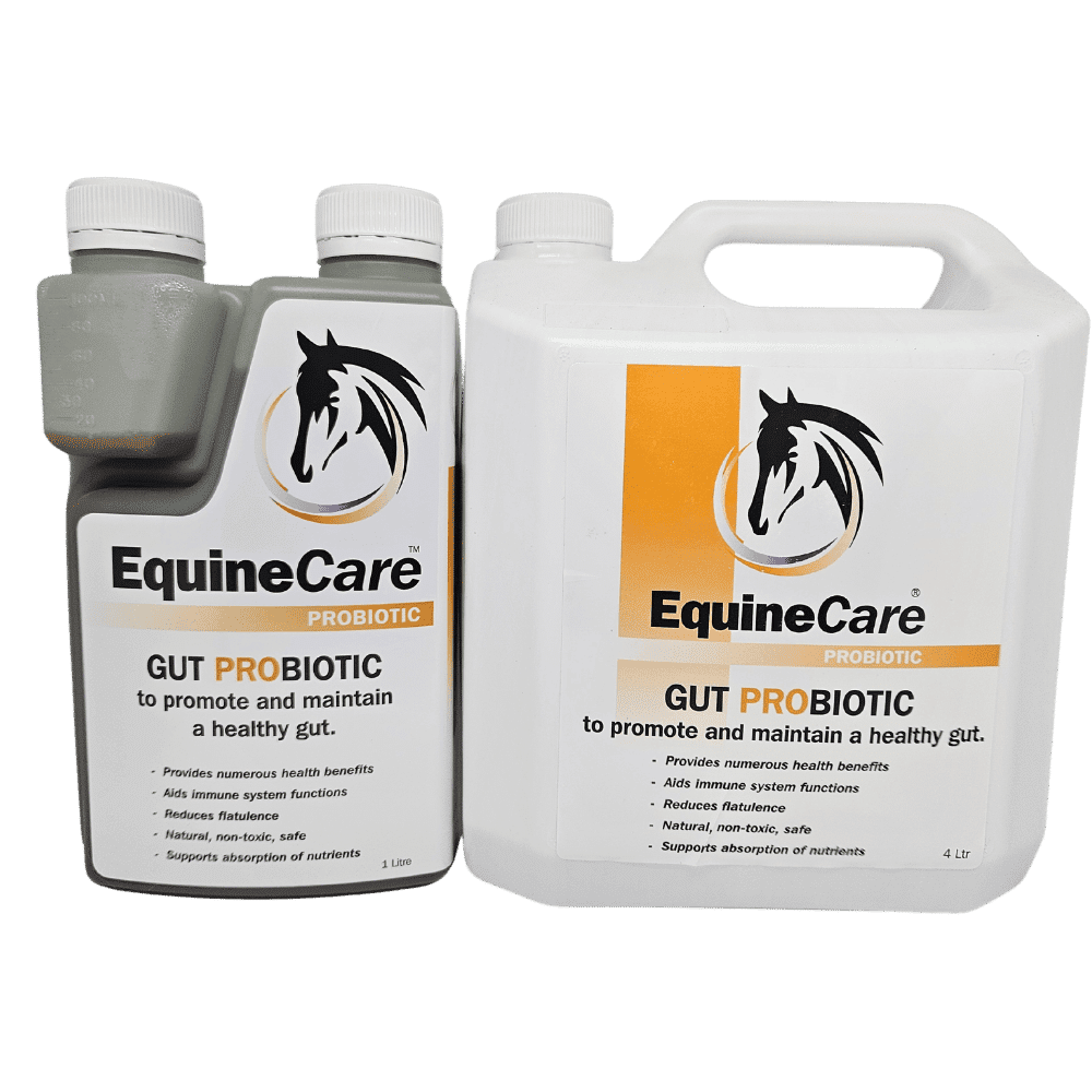 EquineCare Probiotic Spray | Buy Online from Vet Post NZ | Fast Delivery
