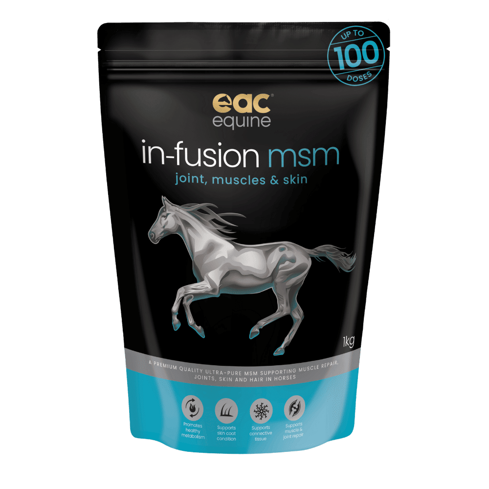 MSM Joint Supplement | In-Fusion Multi-Species | Vetpost