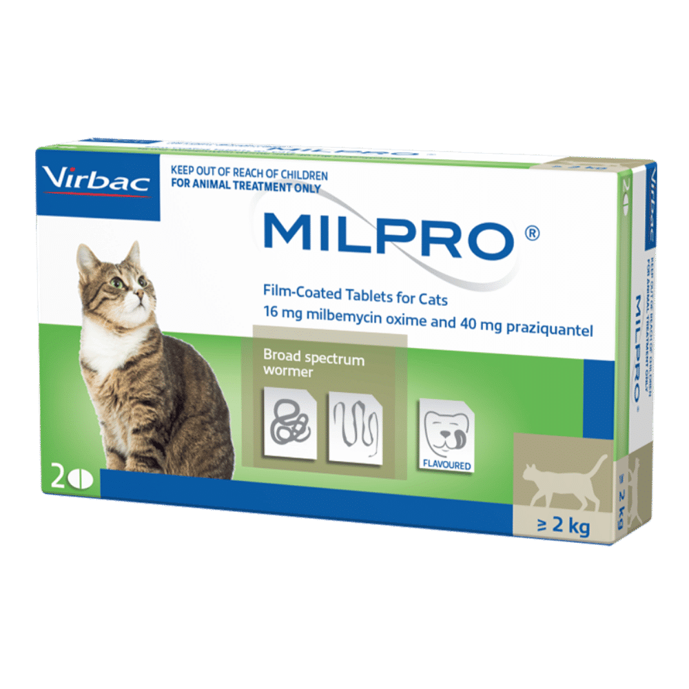 Milpro Cat Wormer 2-8kg 2 Pack | Buy Online from Vet Post NZ | Fast ...