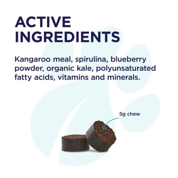 PAW Wellness + Vitality Multivitamin Chews 300g | Buy Online from Vet ...