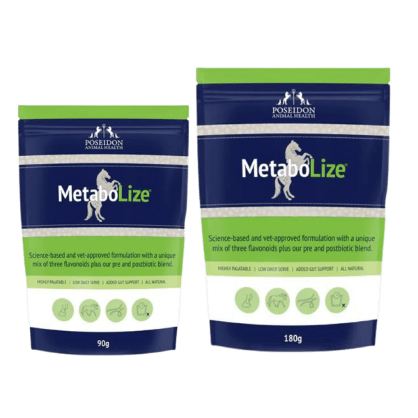 MetaboLize | Buy Online from Vet Post NZ | Fast Delivery