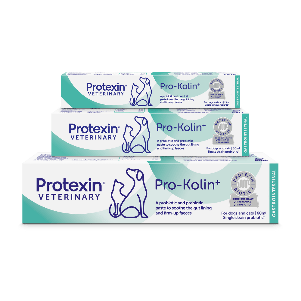 Pro Kolin | Probiotic Paste | Vetpost