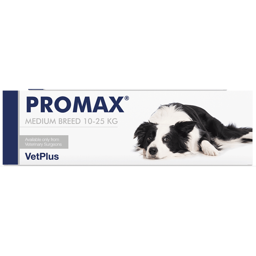 Promax 10-25kg Medium Breed | For Cats & Dogs | Vetpost