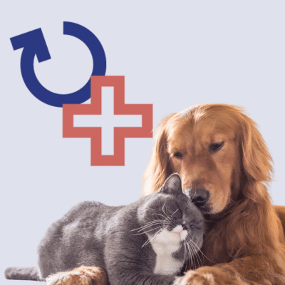 Flexible Pet Supply Delivery Tailored to You | Vetpost Autoship