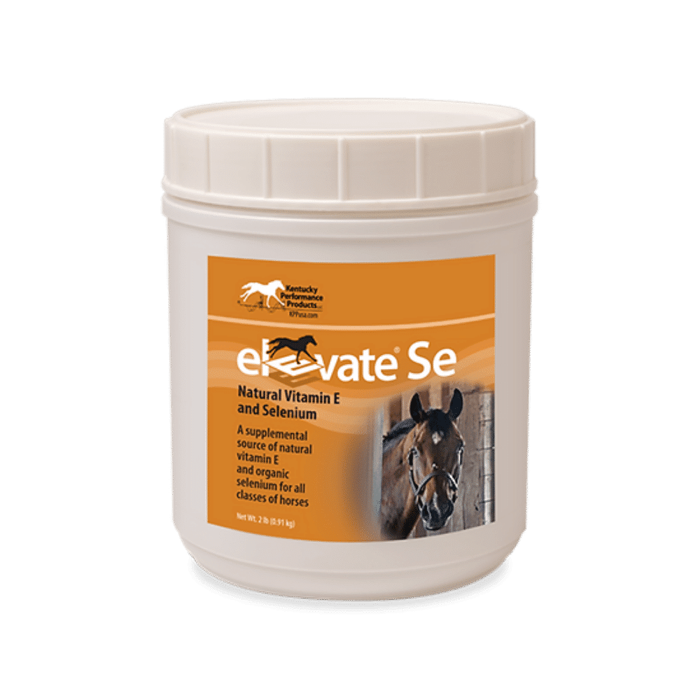 Wiser Concepts Elevate Se 0.91kg | Buy Online from Vet Post NZ | Fast ...
